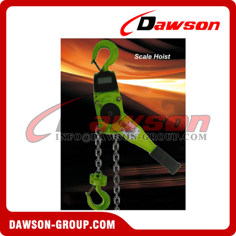 DS-CSLH Crane Scale Lever Hoist with Display for 1 Ton and 2 Ton ...