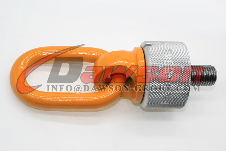 DS-PA Series G100 Universal Direction Rotating Lifting Eye bolt, Grade ...