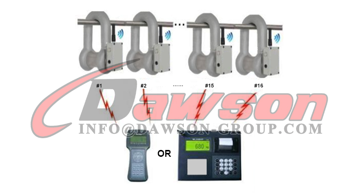 DS-LS-02W 1-500T Multi-Channel Shackle Load Cell - Dawson Group Ltd ...