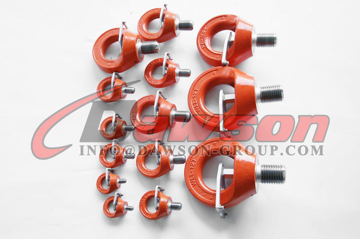 DS-PB Series G100 Eye-type Universal Direction Rotating Lifting Eye ...