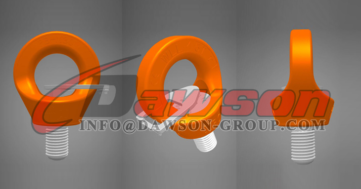 DS-PB Series G100 Eye-type Universal Direction Rotating Lifting Eye ...