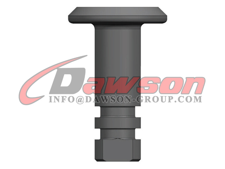 Cast-in Bolt DS-CSN, Cast-in Hook DS-CHF DS-CHFL, Cast-in Hook DS-PCHT ...