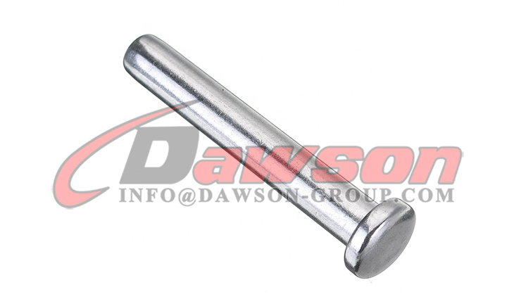 Stainless Steel Dome Head Terminal AISI304 - AISI316 - Dawson Group Ltd ...