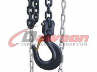 1T 1.5T 2T 3T 5T 10T 20T 30T 50T Chain Block for Construction Site ...