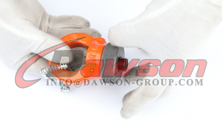 DWS094 G80 Eye Type Rotating Ring, Swivel Hoist Ring, Lifting Points ...