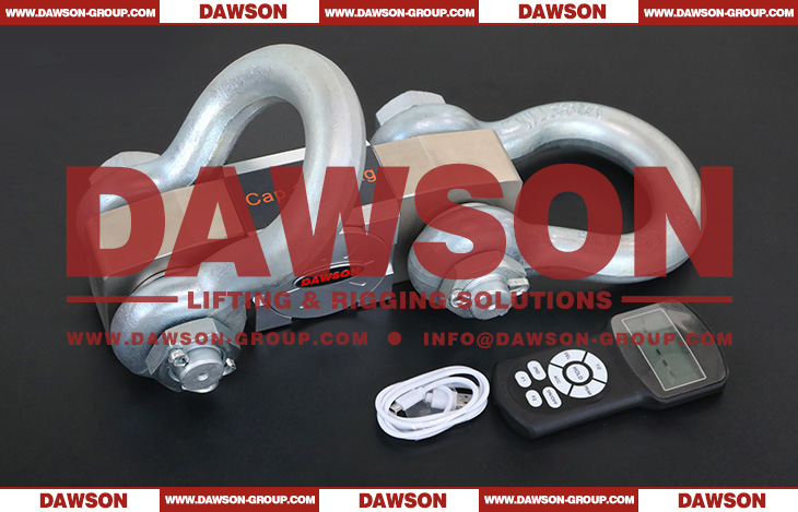 DS-LC-SW6W 1-500T Load Links, Crane Scales Load Cell Calibration ...