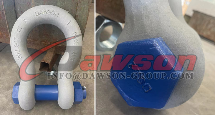 OEM US Type Bolt Type Anchor Shackle with Safety Pin and Nut, S6 Bolt ...