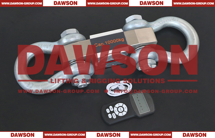 DS-LC-SW6W 1-500T Load Links, Crane Scales Load Cell Calibration ...