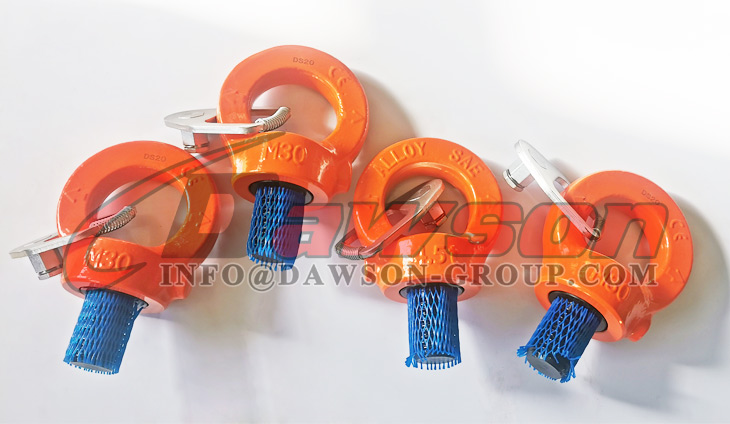 DWS094 G80 Eye Type Rotating Ring, Swivel Hoist Ring, Lifting Points ...