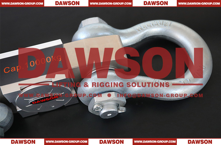 DS-LC-SW6W 1-500T Load Links, Crane Scales Load Cell Calibration ...